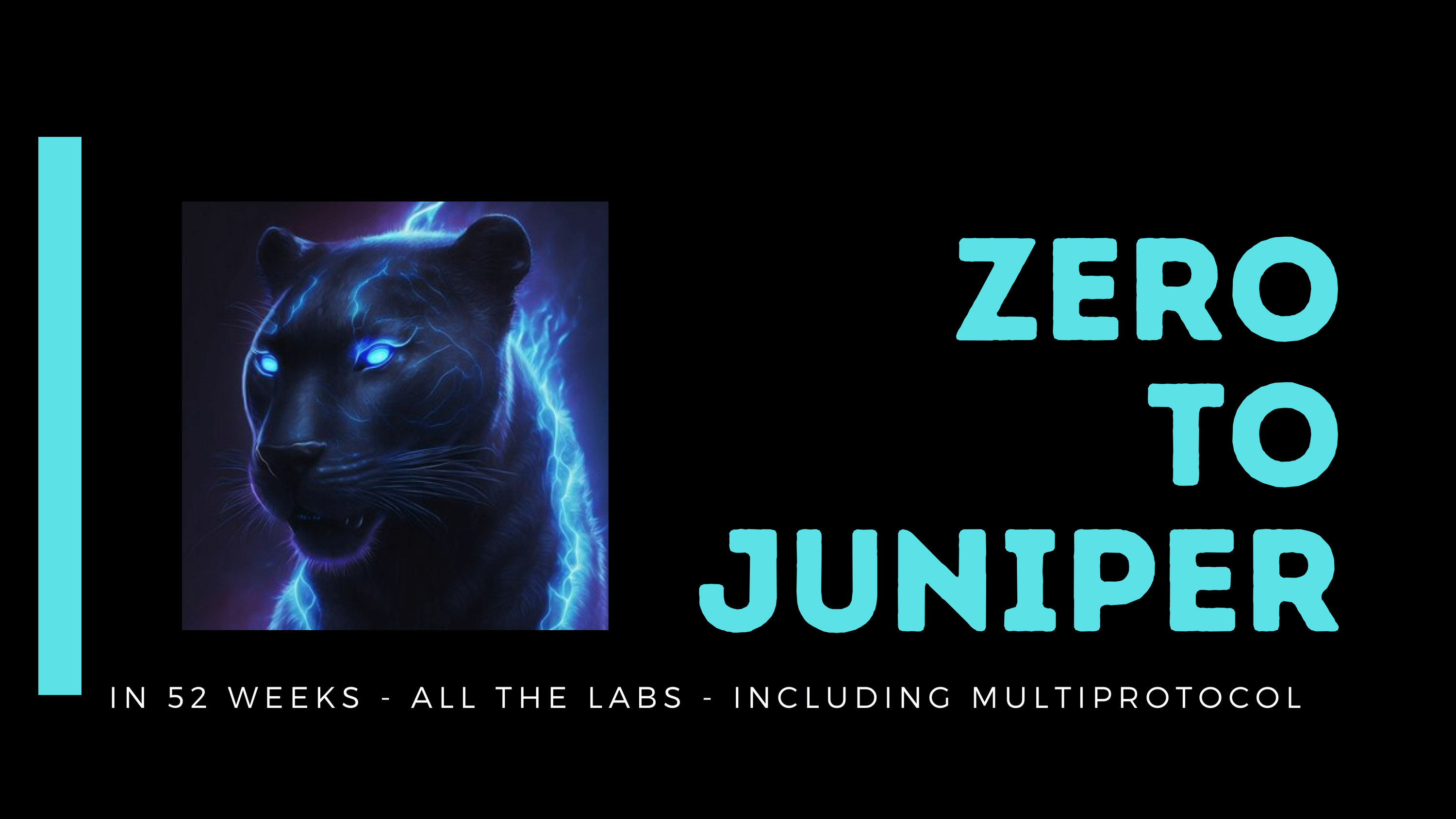 Zero to Juniper in 52 Weeks Simplified - Study 1 hour per Day 5 days a Week